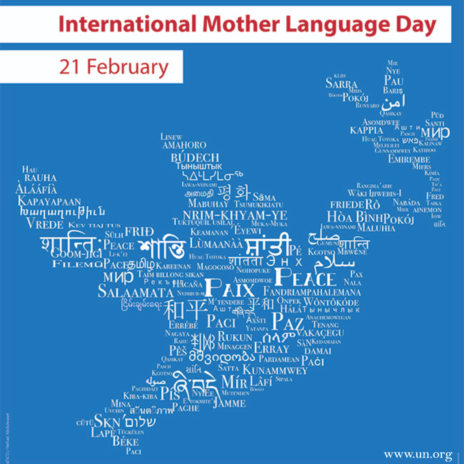 Celebrating the Symphony of Languages: International Mother Language ...