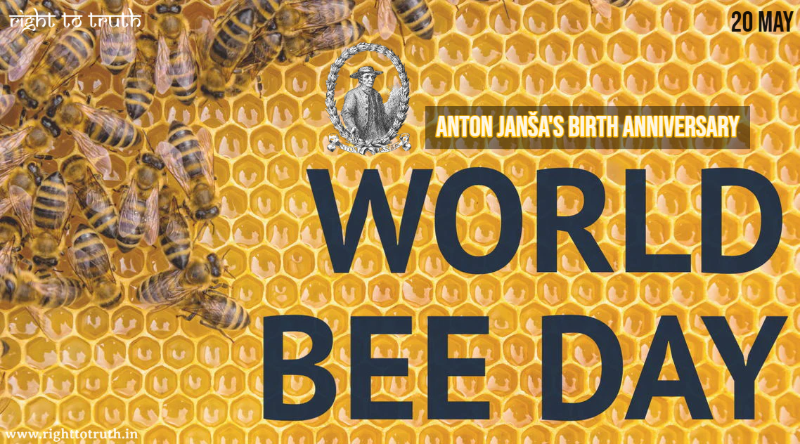World Bee Day: Why the Buzz Around Bees Matters More Than Ever